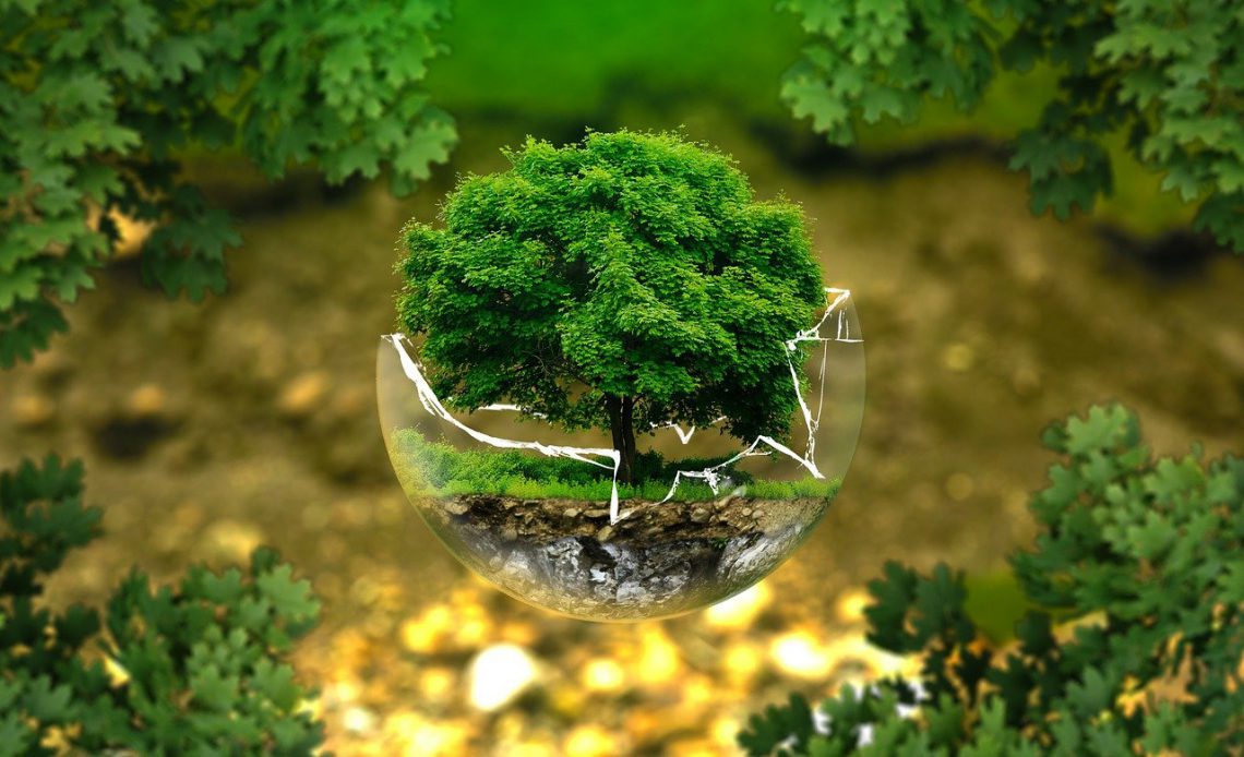 Het milieu verbeteren met een duurzame levensstijl - Woonkamerinterieur